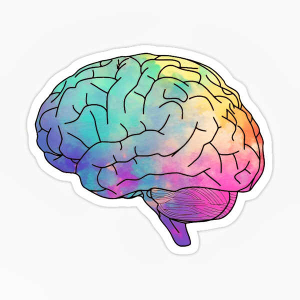 Cerebro Color – Insta-pin